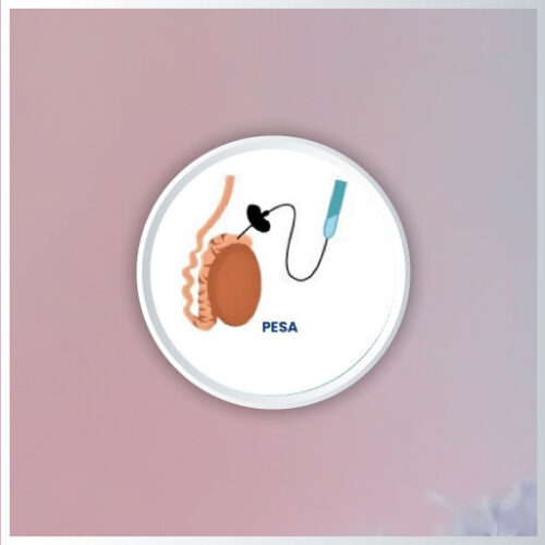 PESA - Dr Lubna Yasmin